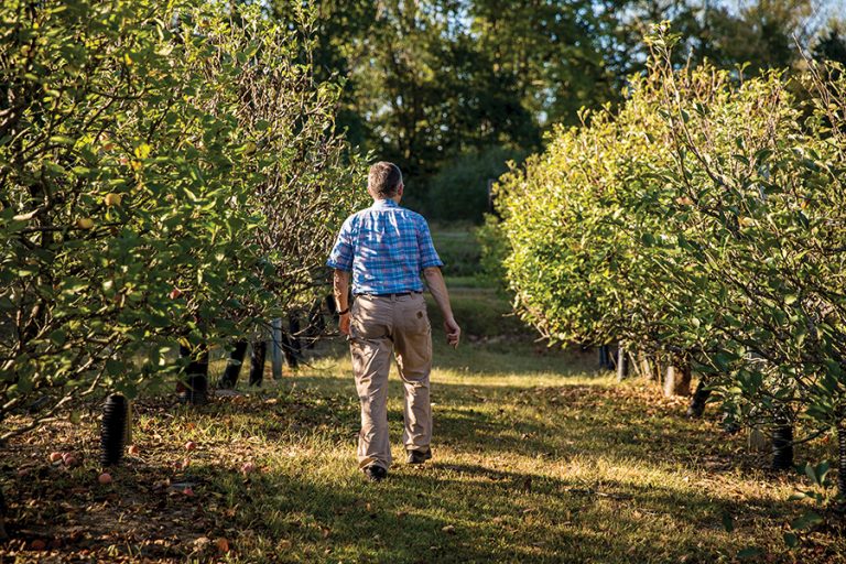 The Old-Fashioned Orchardist | O.Henry Magazine
